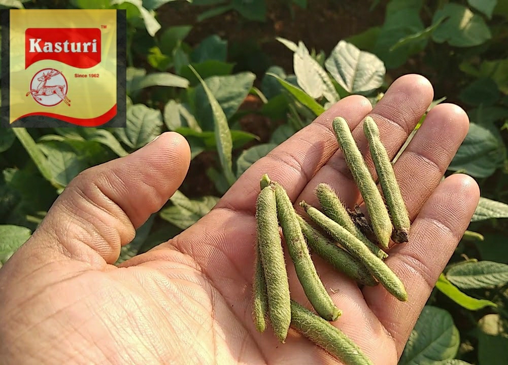 URAD DAL – KASTURI